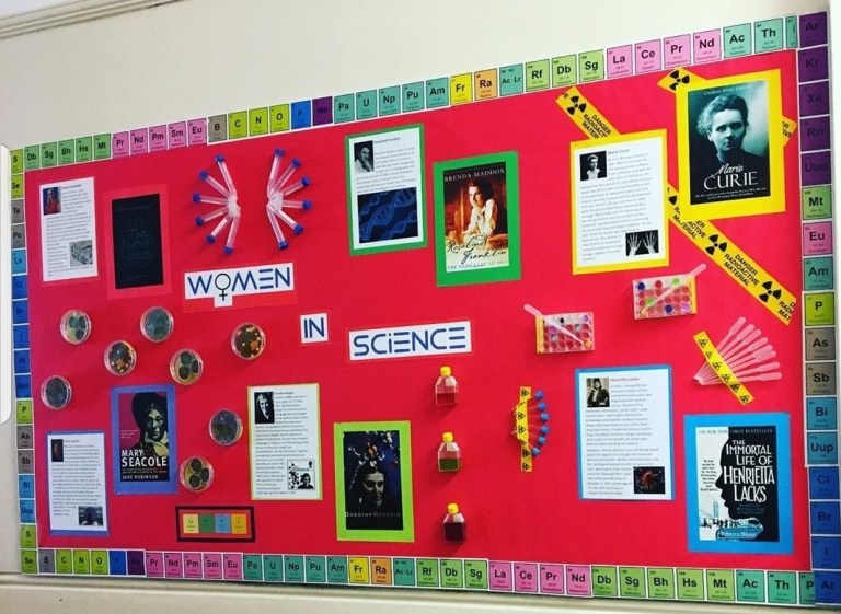 Secondary School Display Boards – Rachel Coverdale